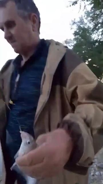 Рыбалка с друзьями на городском пляже