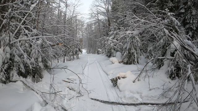 Чермоз №16 Егоровка -СП