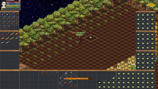 Rogalia ч462 Надо попробовать напополам посадить