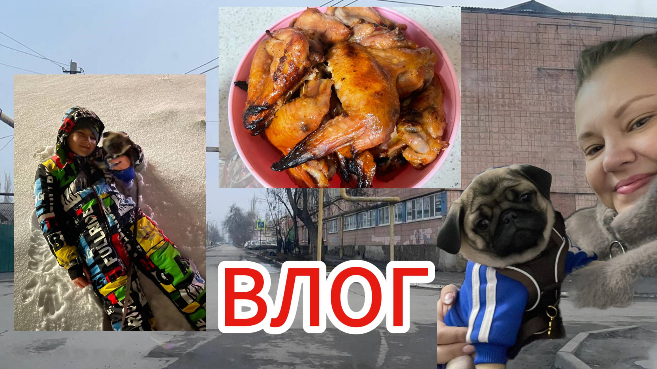 ЯНВАРСКИЙ ВЛОГ // ДОМАШНИЕ ХЛОПОТЫ // ПРОГУЛКА С ЧИМИНОМ  // ГОТОВИМСЯ К ДАЧНОМУ СЕЗОНУ