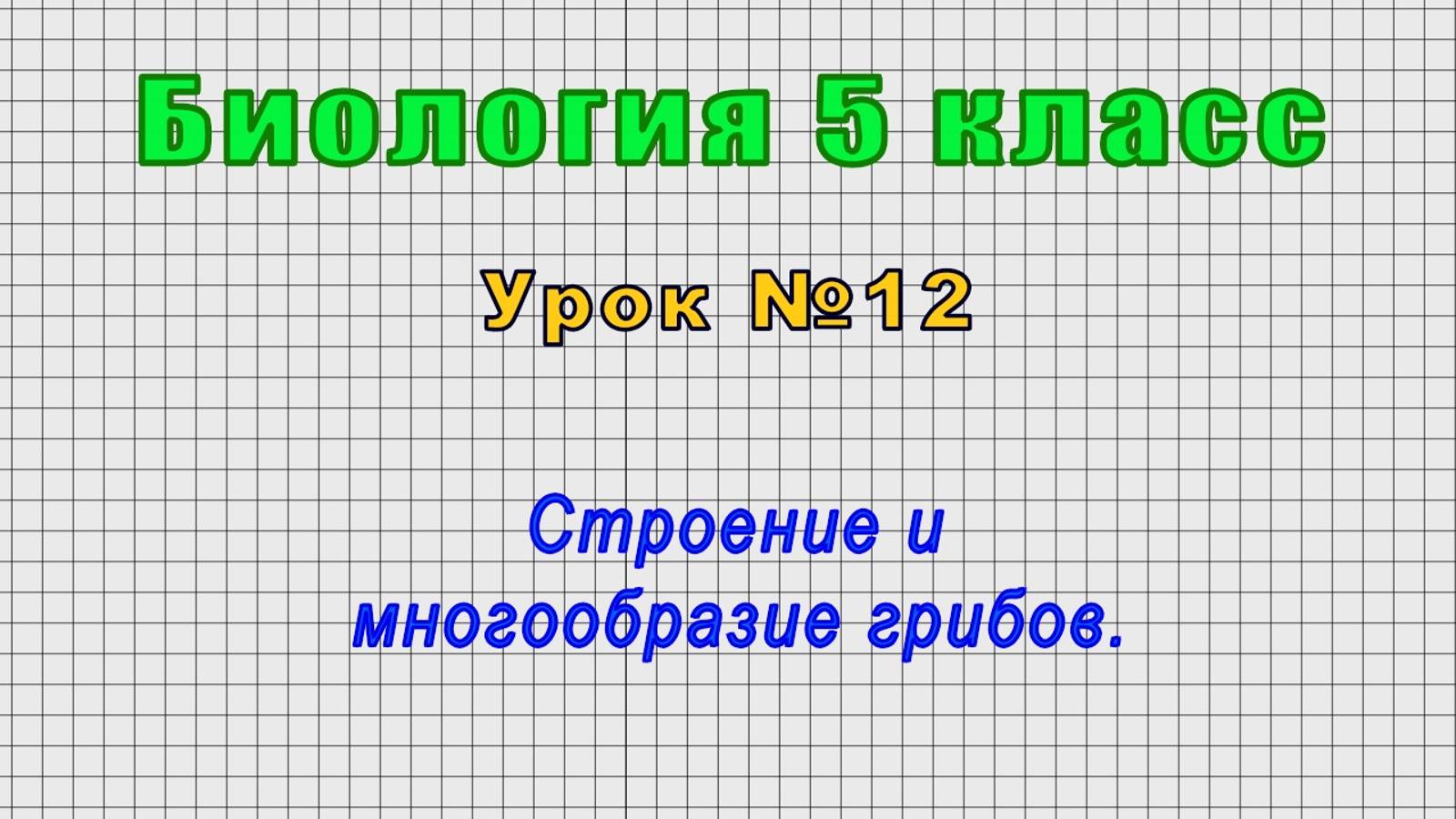 Биология 5 класс (Урок№12 - Строение и многообразие грибов.)