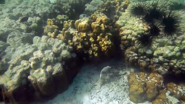 Андаманское море.Ко Хе.День 4.