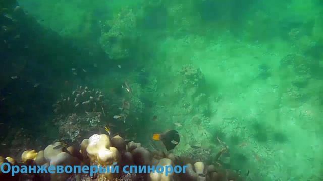 Андаманское море.Ко Хе. День 2.