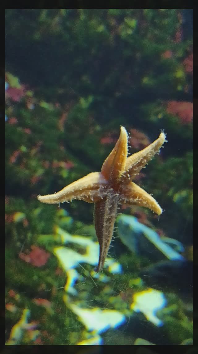 Океанариум.Вертикальная съёмка.