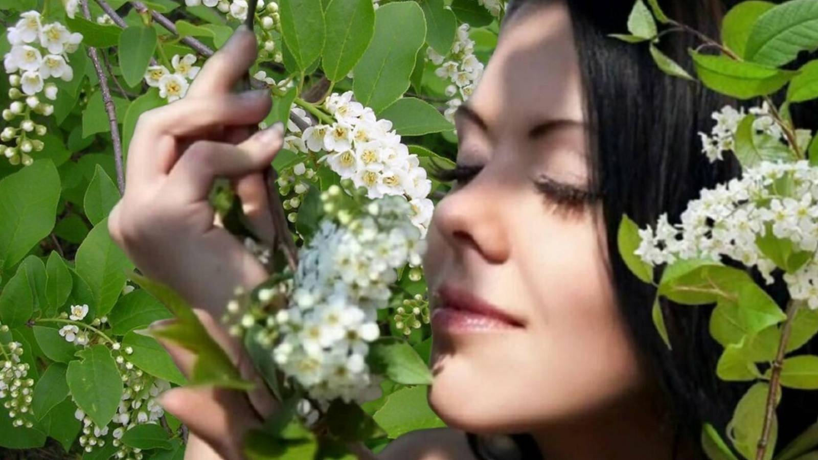 Хочу весну… В черёмуховый рай… Музыка - Nikos Ignatiadis