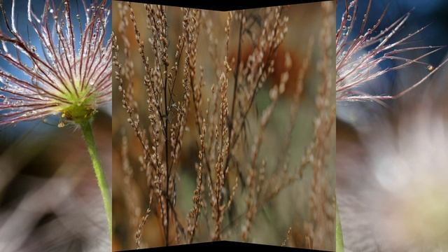 Скоро весна. Муз_Попов  И.Ю.