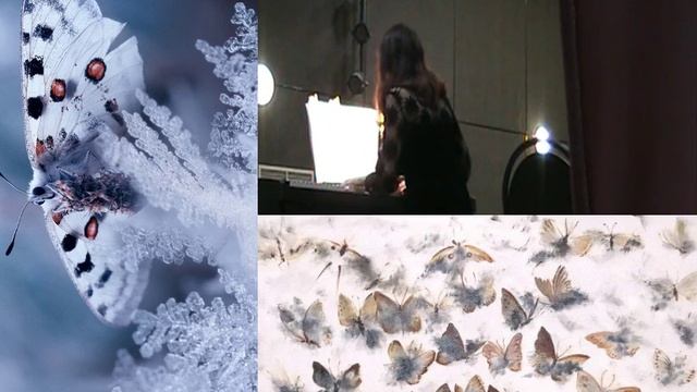 Бабочки На Снегу_Жемчужина Моря_10.11.18