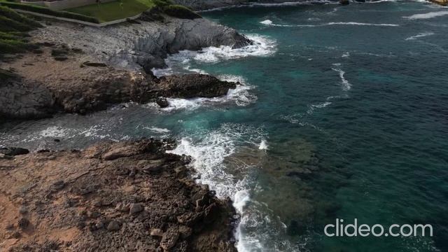 Асадов Эдуард Аркадьевич. Что такое счастье?