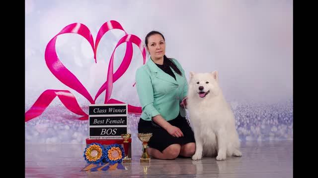 Наши победы