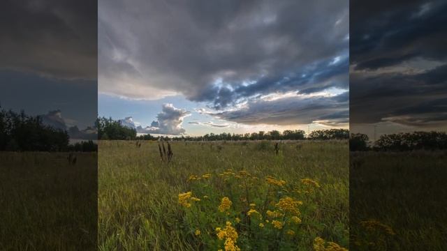 Чудесный вечер в деревне #nature #train #sofrino