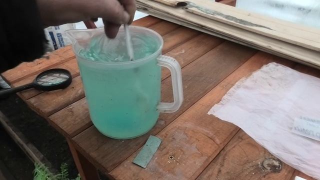 3111-02122022.г Посев яблонь.Подкормка калием .