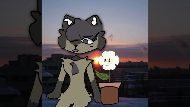 Еееее видео спустя 2 месяца.Я снова пришла поднять активчик^^(Это просто тренд)