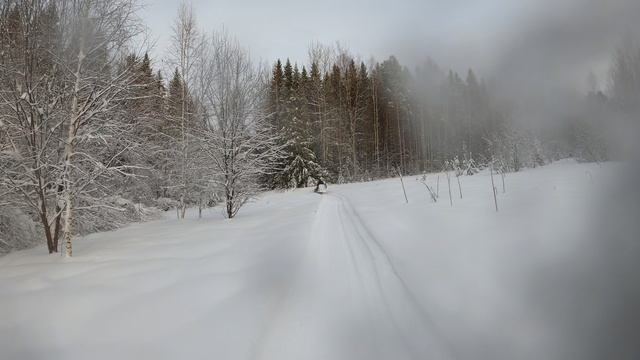 Чермез №13  Чермоз -Егоровка через Лес