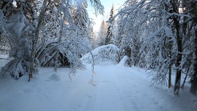 Чермоз №8 Дмитриевское -Желдовка