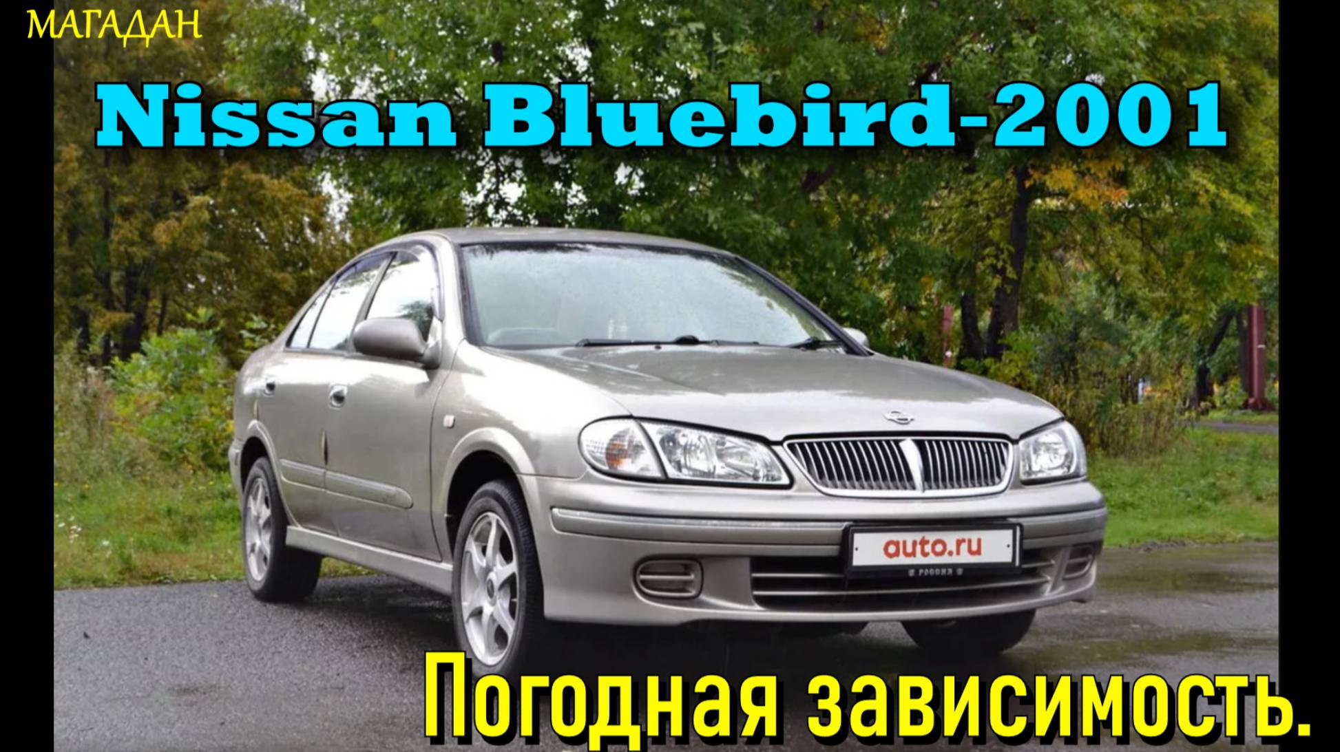 Погодная зависимость