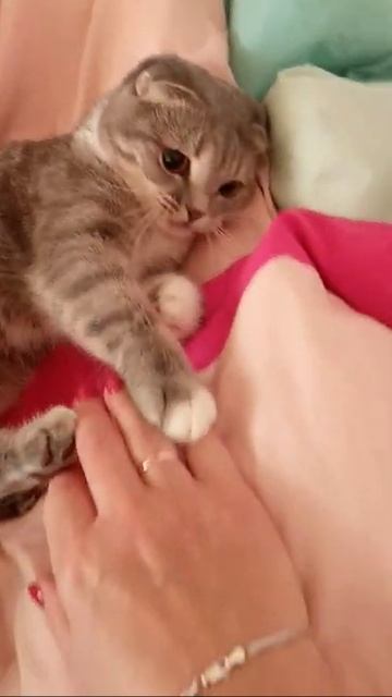 Сдаём в по-ли-цию ;)