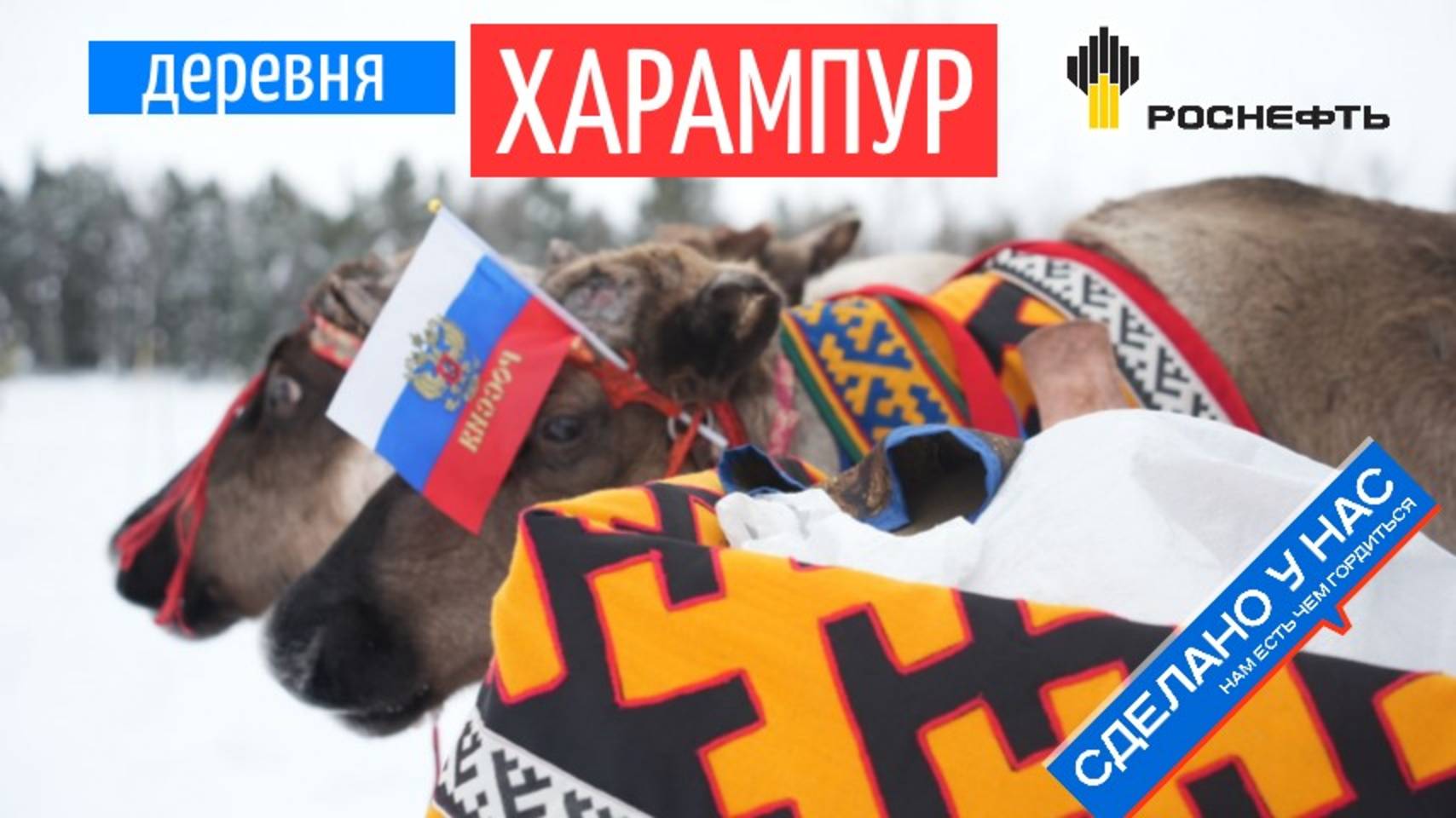 Как Роснефть возродила деревню лесных ненцев