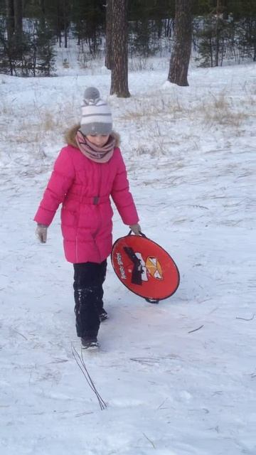 на ледянке с горки