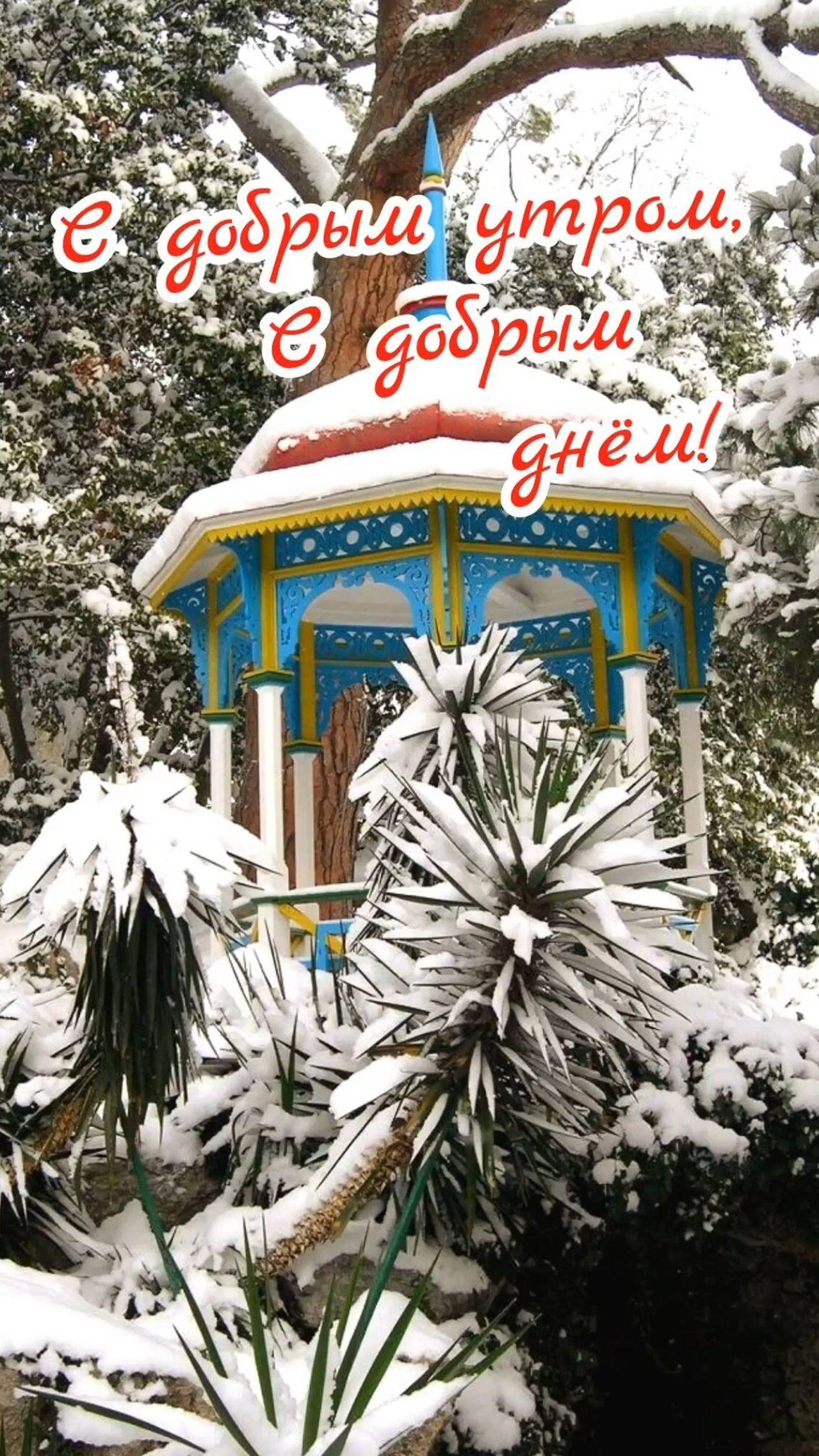 ❄️ С добрым зимним утром, днём!