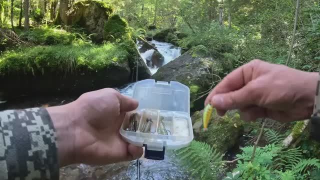 ANTONIO 2 Days Solo Camping . РЫБАЛК