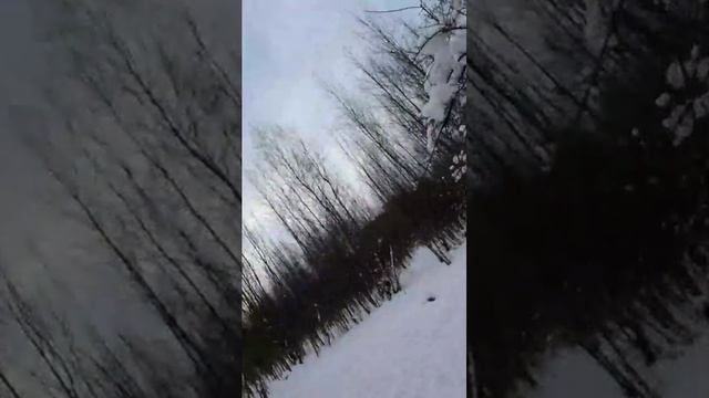 я и моя полянка