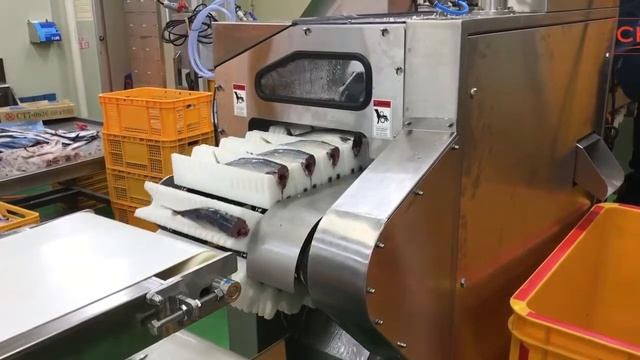 Линия (машина) для нобинга скумбрии (сельди, ставриды и прочей рыбы) CHAMCO