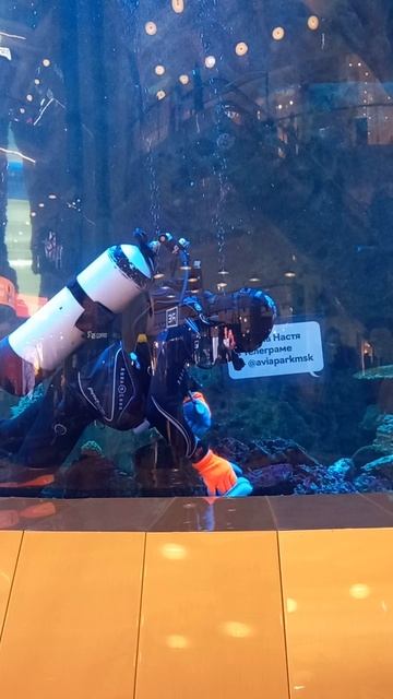 Аквалангист внутри огромного вертикального аквариума