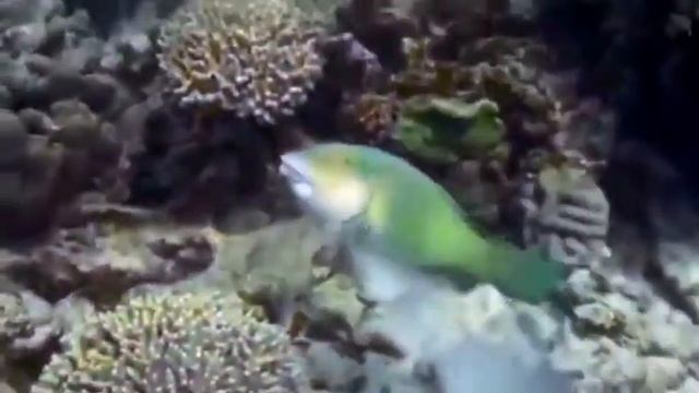 Отдых в Тайланде, остров Пхукет