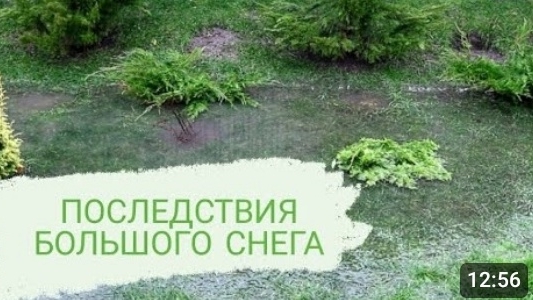 ПОСЛЕДСТВИЯ БОЛЬШОГО СНЕГА И РЕЗКОГО ПОТЕПЛЕНИЯ. 20.12.2023г.