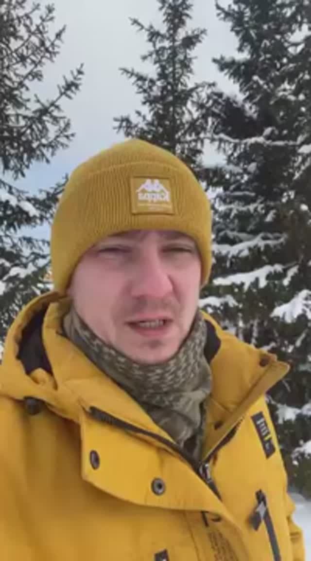 Реклама товаров на Озон через Яндекс Директ. ￼