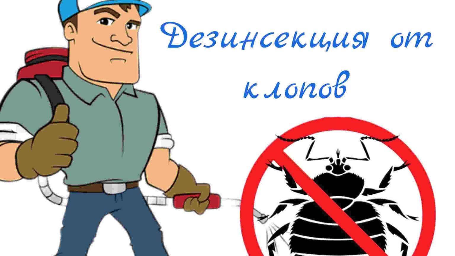 Уничтожение клопов в квартире, обработка с 
гарантией 100% с 1 раза, и без запаха.