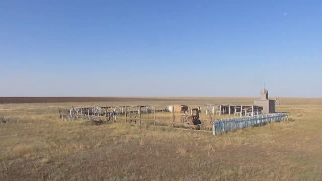 Городок фестиваля тюльпанов в Куриловской степи, Новоузенский район (панорама).