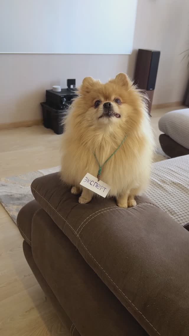 Ешьте хурму - правильно!