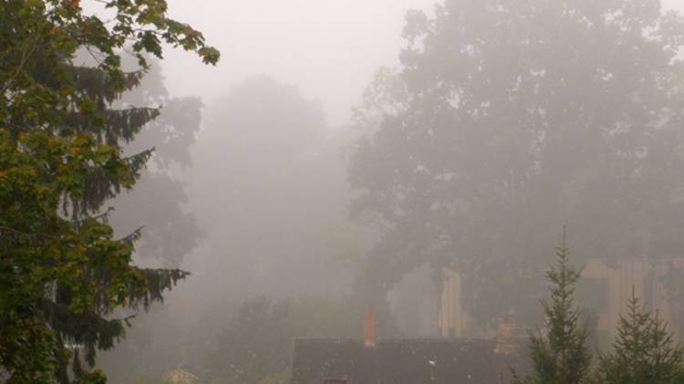 И только ветер поёт