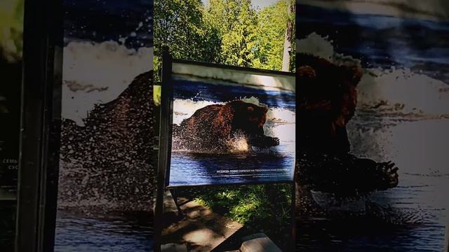 Лето на Елагином острове