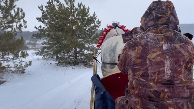 Наконец-то зима!Можно прокатиться с ветерком!Поехали?!