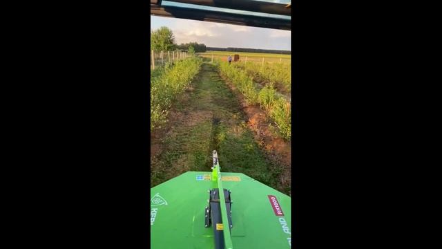 Коса садовая Kerland RK1600 1,6 м в работе с трактором МТЗ