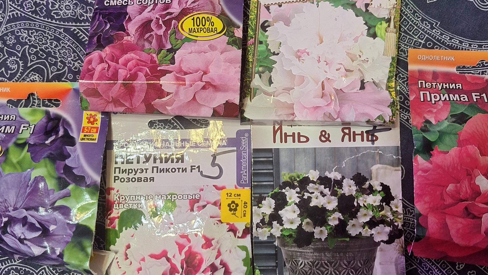 15.02.25 Посадила Петуньи