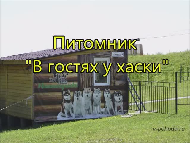 "В гостях у хаски" - питомник хаски в посёлке Трудармейский Кемеровской области
