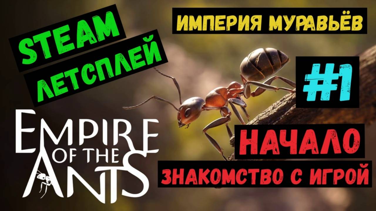 Начало / Empire of the Ants / Империя Муравьев / Steam ЛЕТСПЛЕЙ / GAMEPLAY / #1