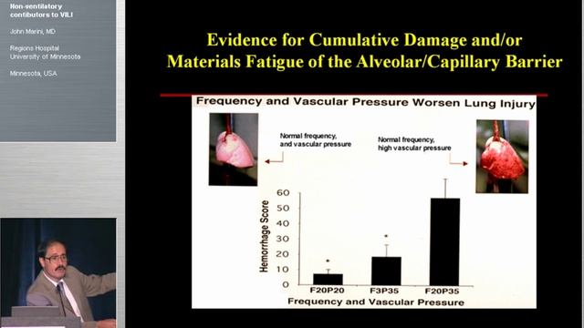 Non-Ventilatory contribution in VILI. Marini J 1 (2004)