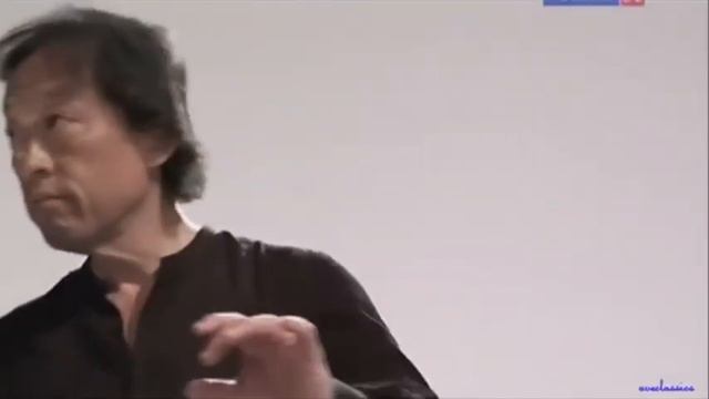 2. Второй музыкальный фрагмент "Курицы и Петух" - сюиты "Карнавал животных ".К.Сен-Санс