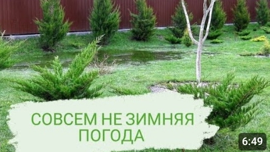 СОВСЕМ НЕ ЗИМНЯЯ ПОГОДА... 27.12.2023г.