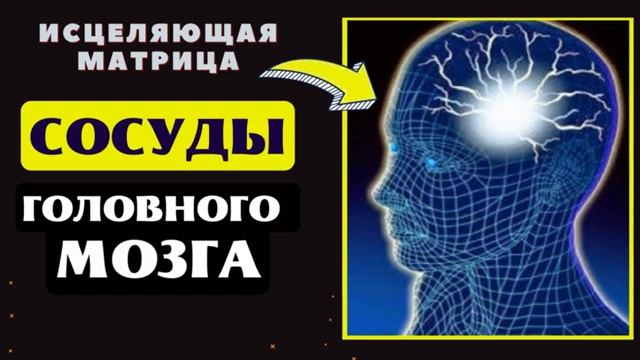 МОЗГОВЫЕ СОСУДЫ*СПАЗМЫ, РЕВМАТИЗМ*ИСЦЕЛЯЮЩАЯ МАТРИЦА ГАРЯЕВА
