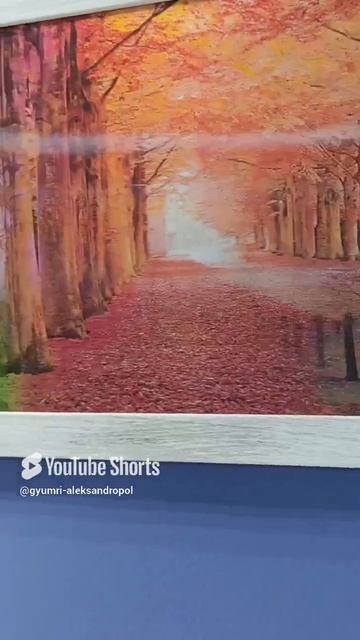 Меняющиеся картины в музее _ИЛЛЗИОН_. Гюмри. _ #gyumri #aleksandropol #ленинакан #гюмри