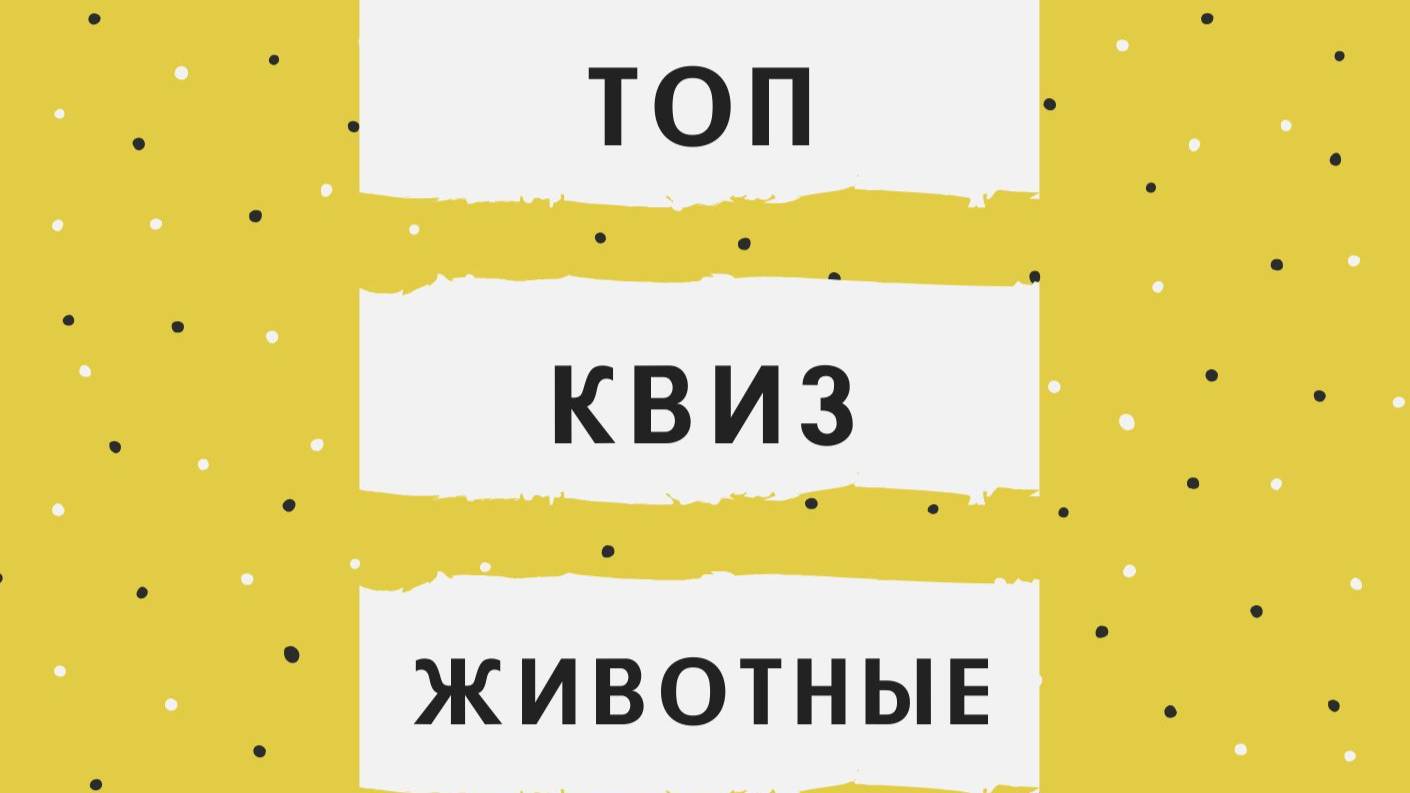 Квиз ,викторина - угадай животное.