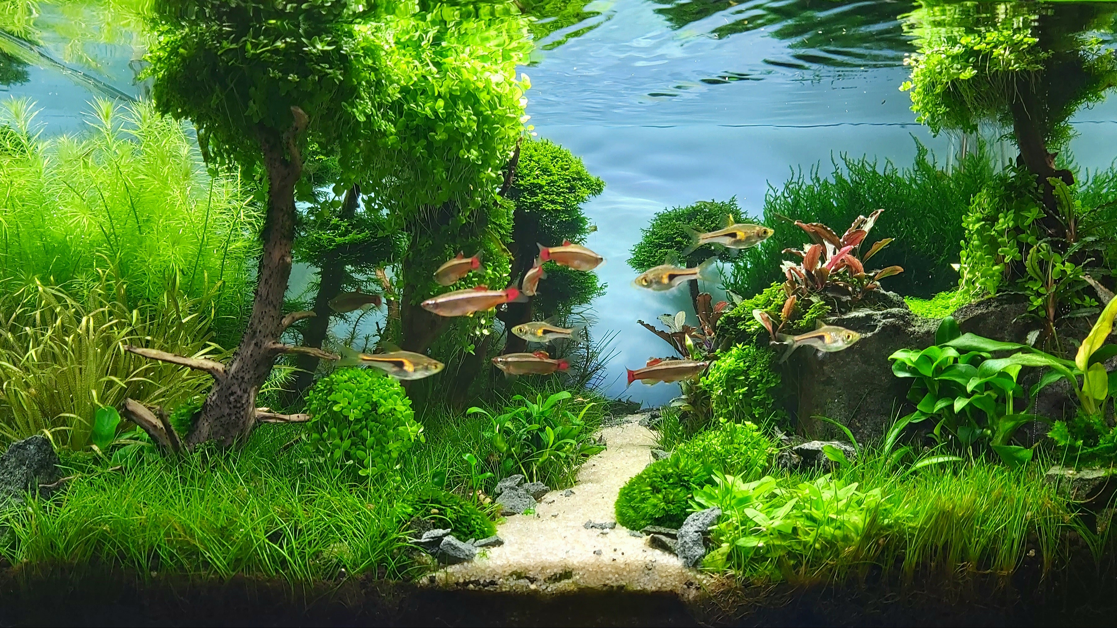 Миллион лет после нашей эры