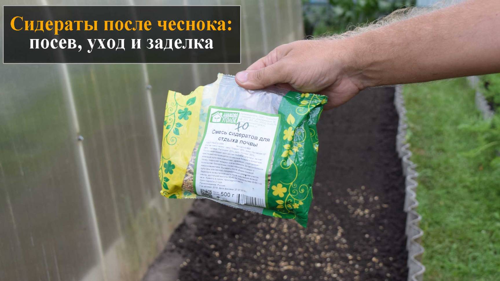 Сидераты после чеснока