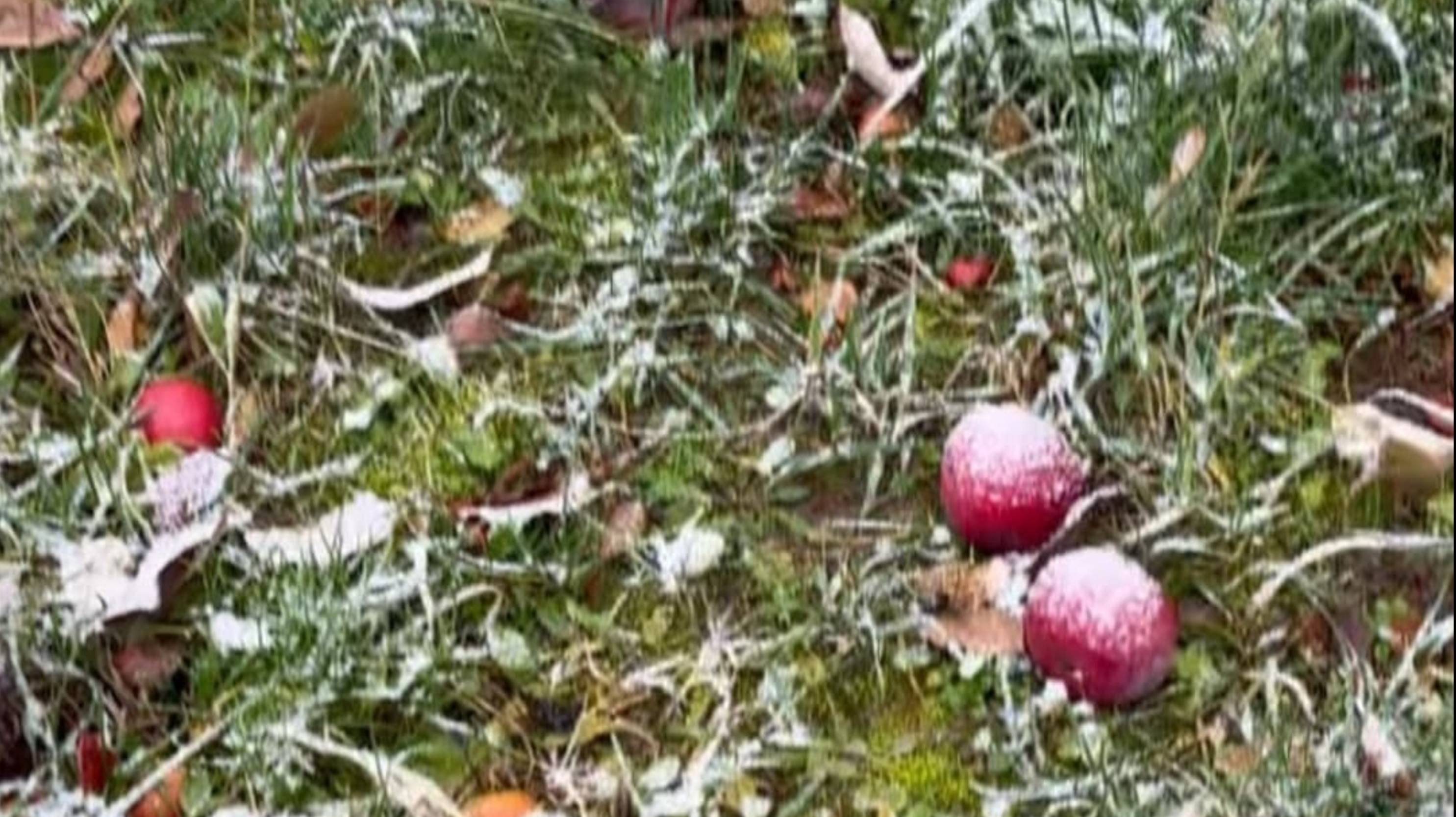 Пустота внутри Фаберлик.