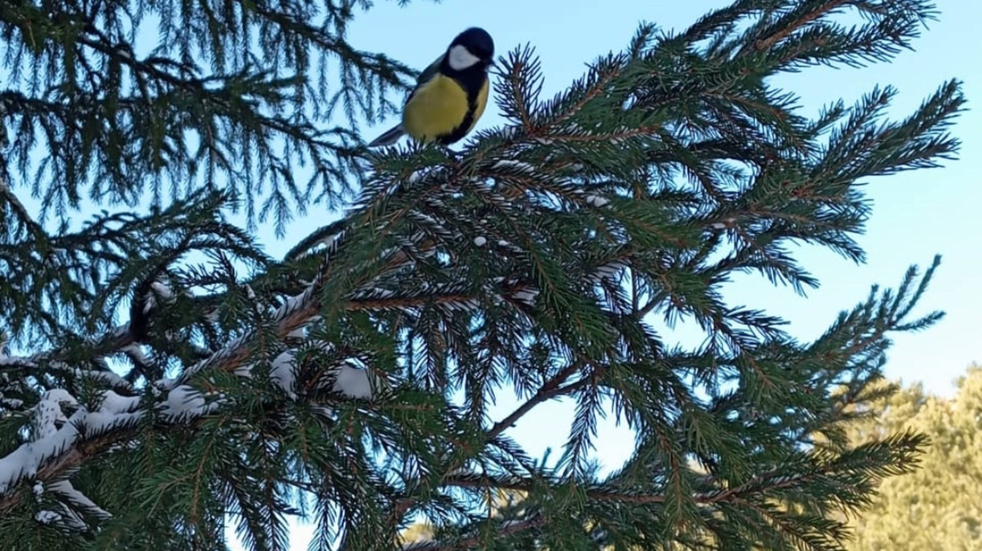 Очень интересный каталог Фаберлик/ Много новинок и хороших предложений.